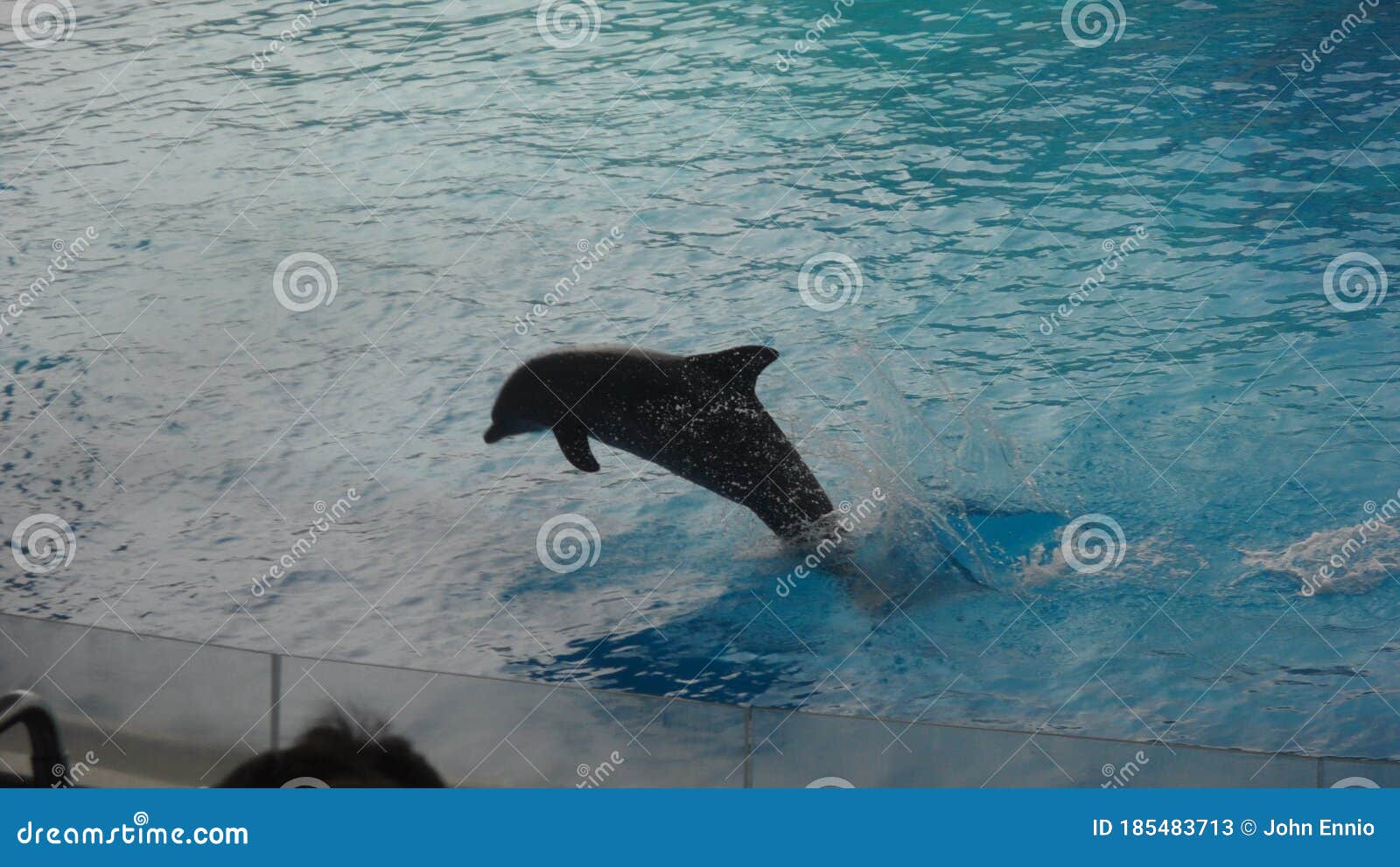 Baths for water shows stock image. Image of park, territory - 185483713