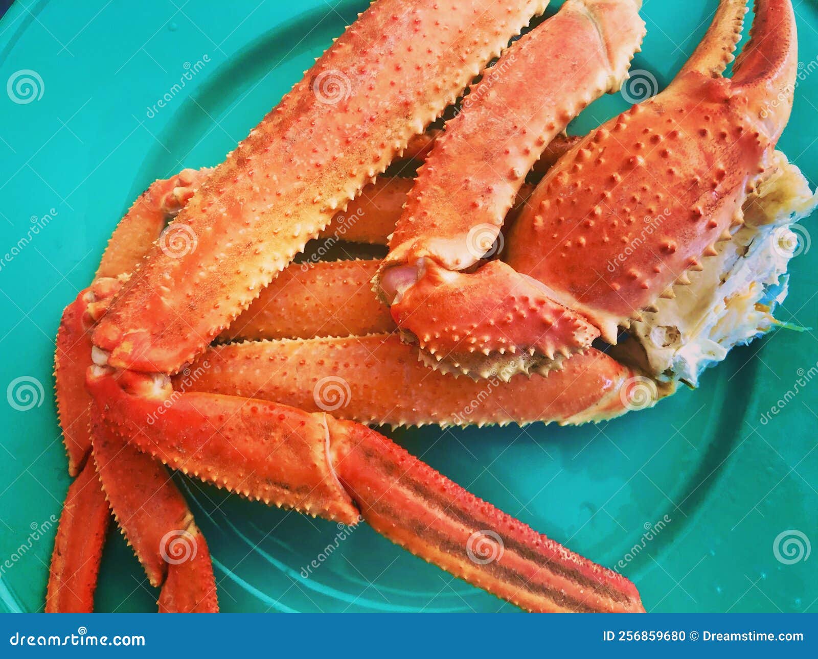 Fresh tanner crab stock photo. Image of crab, dinner - 256859680