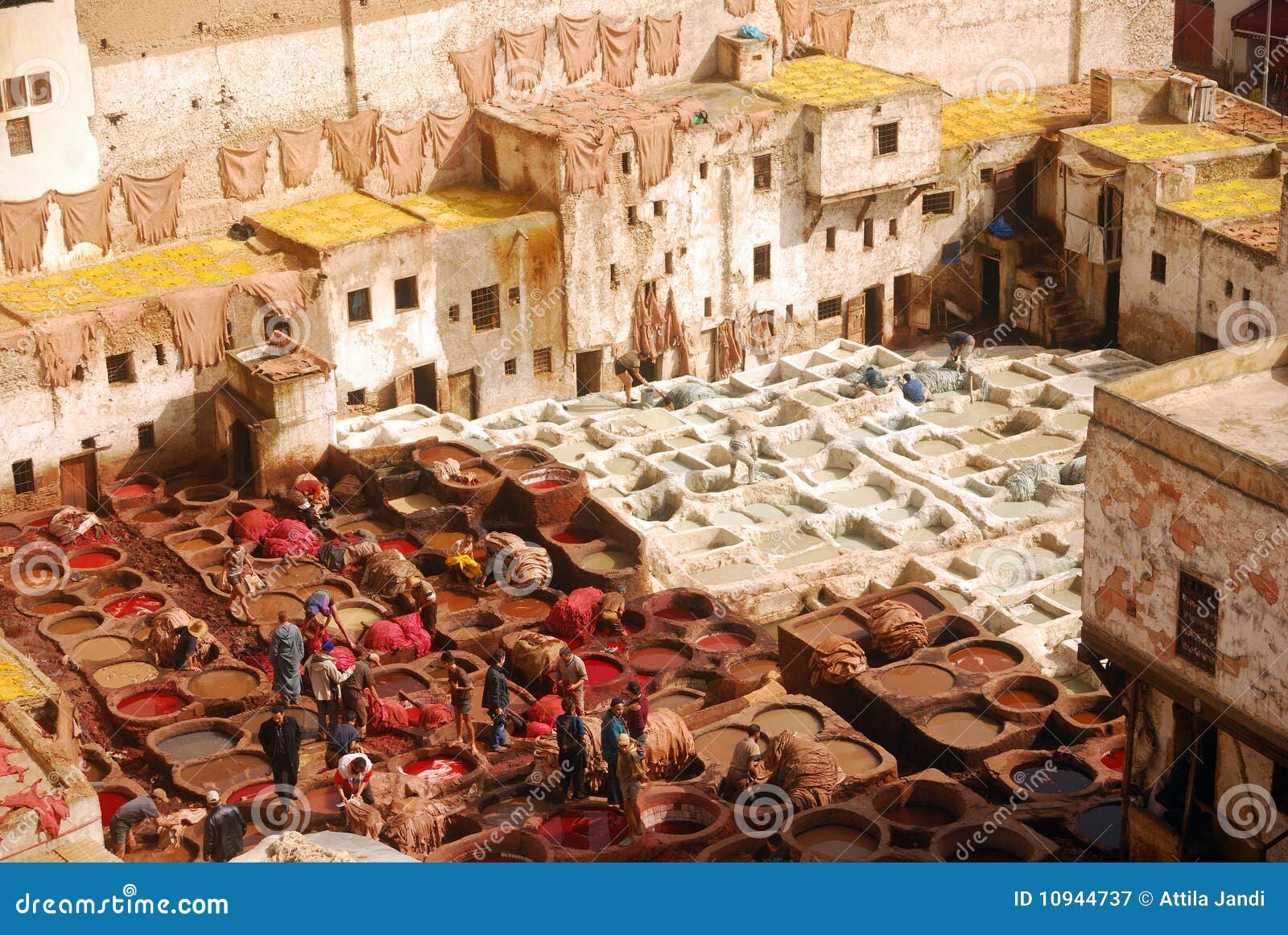 Tannery, Fez Morocco editorial photography. Image of tanner - 10944737