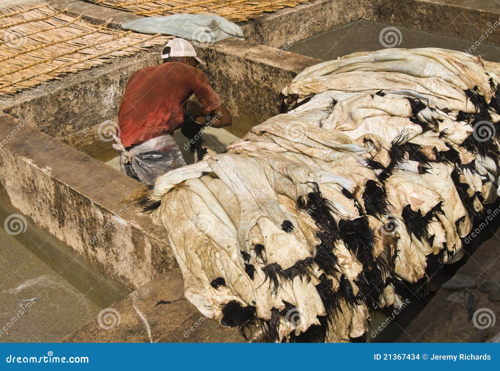 Tannery Worker editorial stock image. Image of male, skin - 21367434