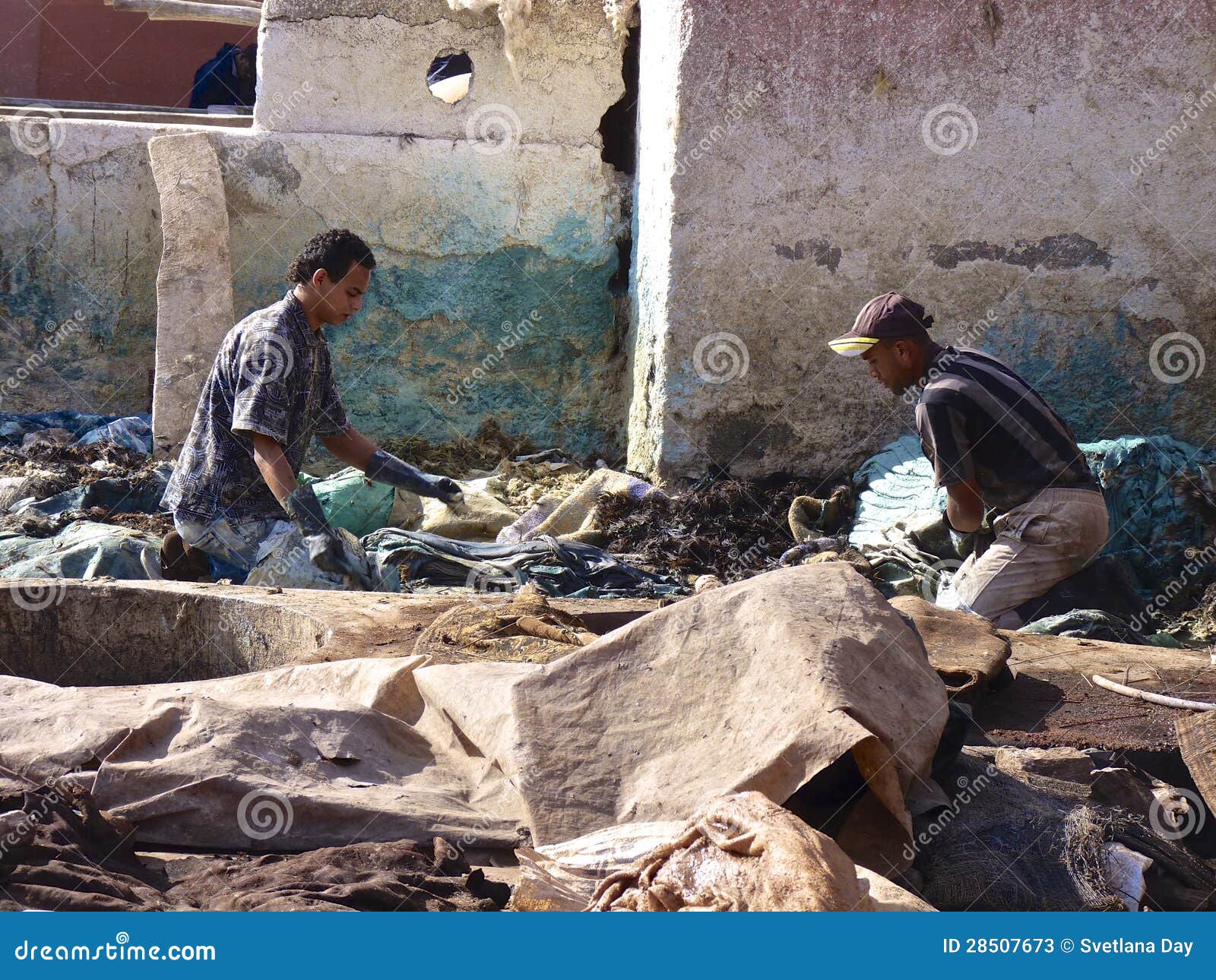 Tannery Workers in Marrakech Morocco Editorial Stock Photo - Image of ...