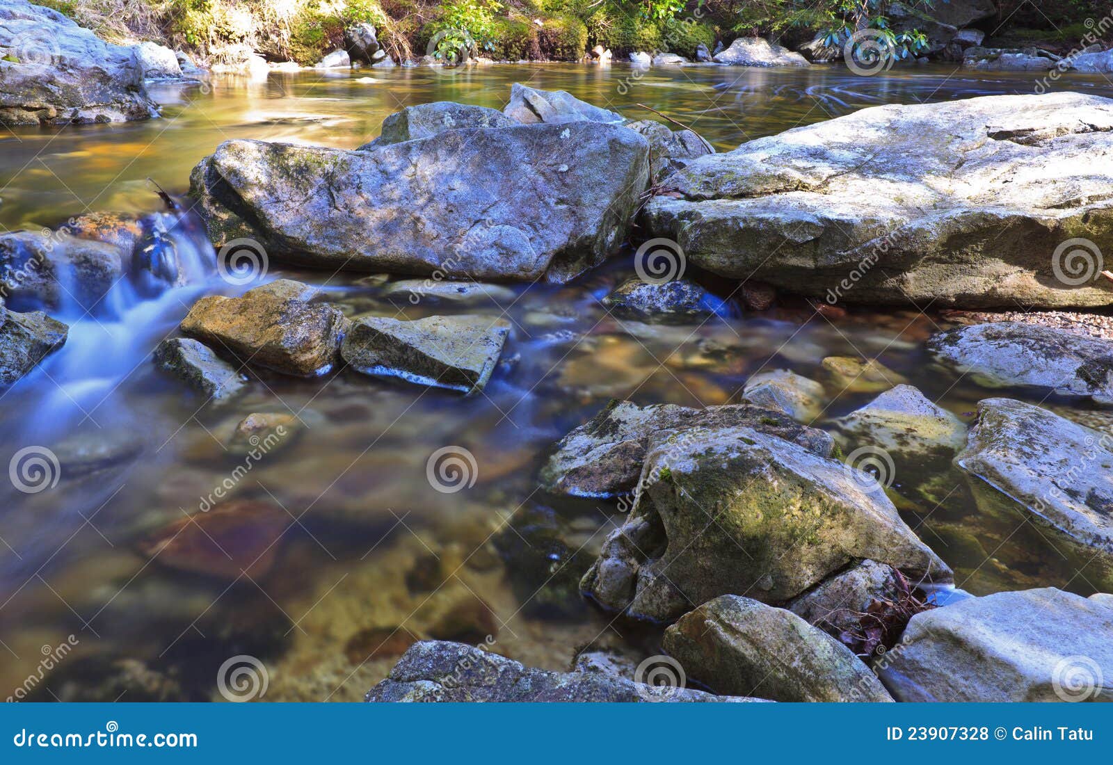 Tannin Colored Mountain Stream and Rocks Stock Photo - Image of hemlock ...