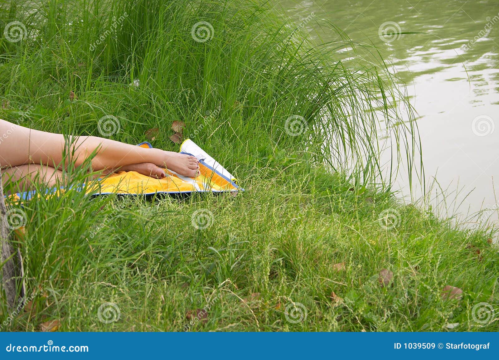 Tanning stock image. Image of environment, landscape, edge - 1039509