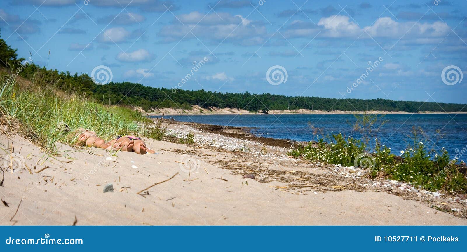 Tanning ladies stock image. Image of vacation, ladies - 10527711