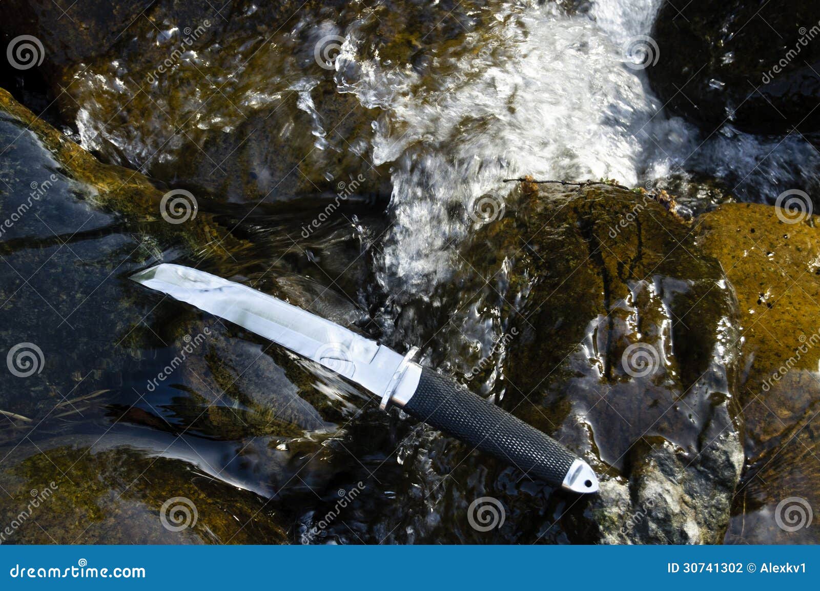 Tanto knife in water stock photo. Image of natural, metal - 30741302