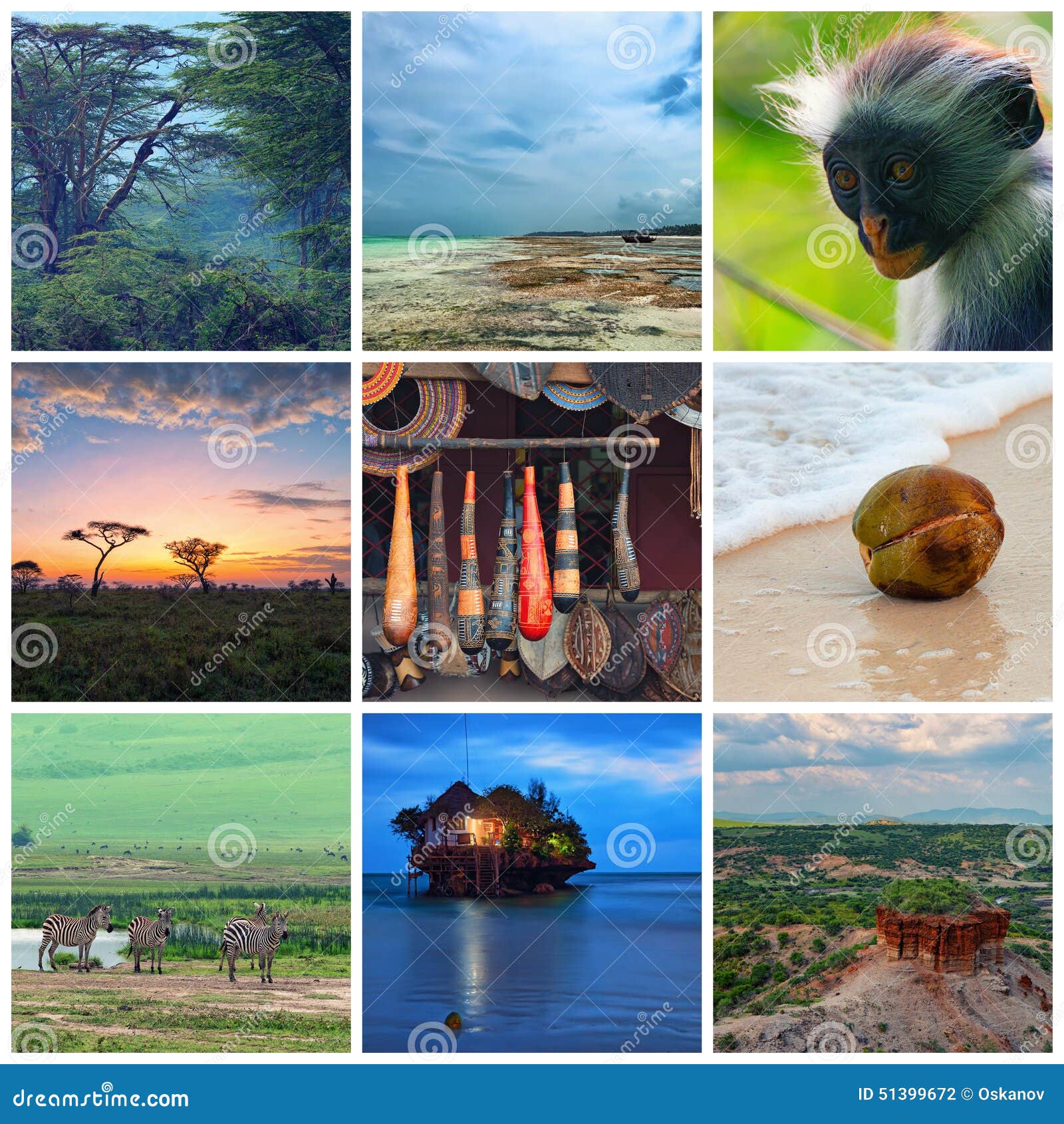 Tanzania editorial photography. Image of palm, african - 51399672