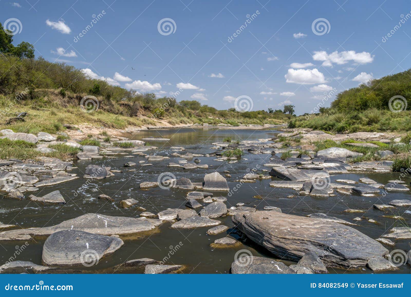 Tanzania river stock image. Image of grass, color, drive - 84082549