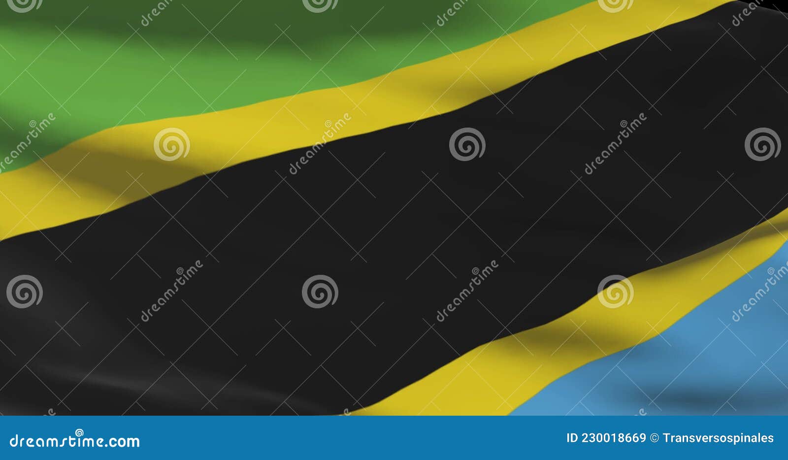 Tanzanian National Flag Footage Tanzania Waving Country Flag On Wind