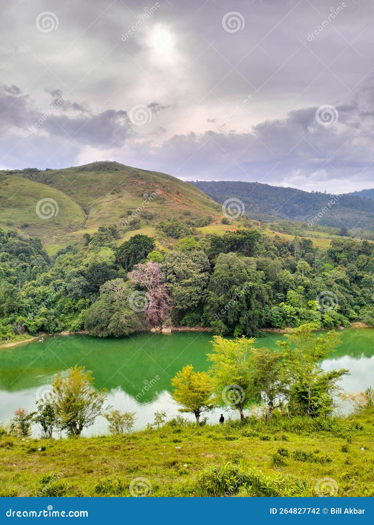 TAO lake in north sumatera stock photo. Image of tree - 264827742