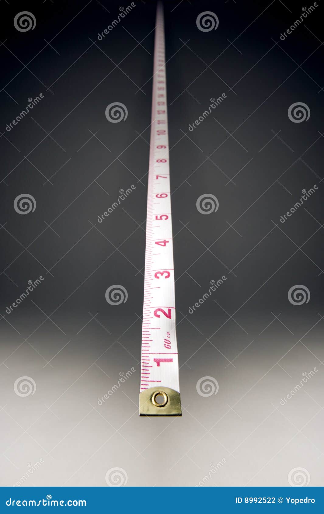 Tape Measure stock photo. Image of obese, ruler, lose - 8992522