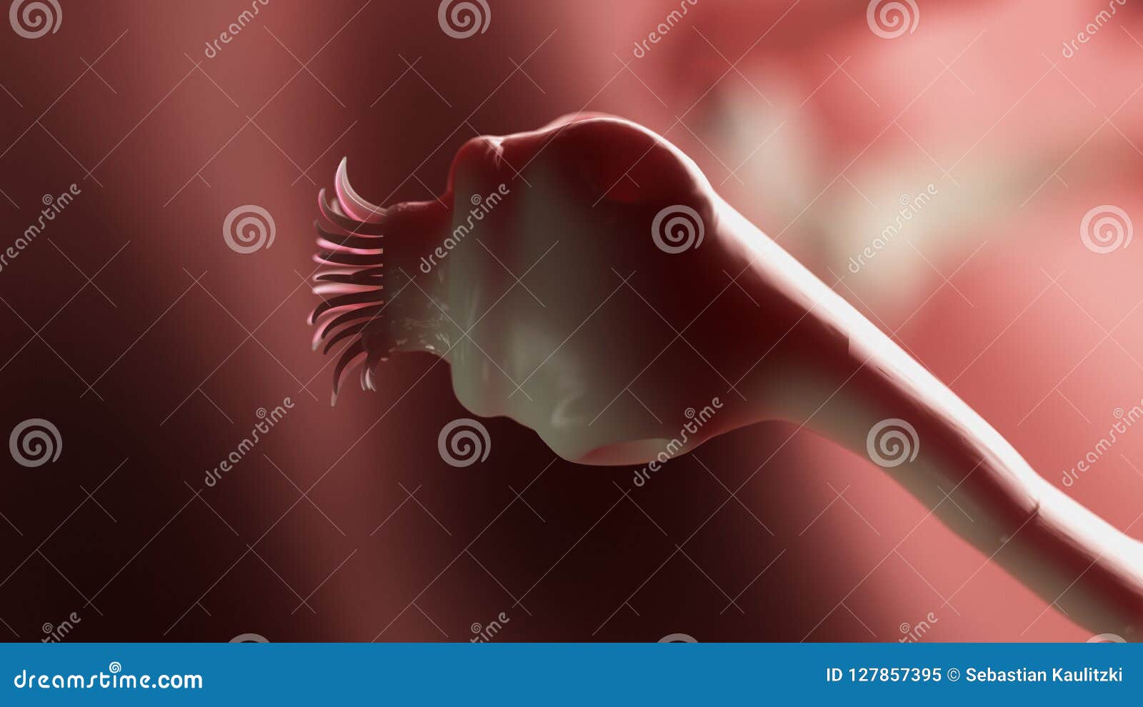 A tape worm stock illustration. Illustration of flatworm - 127857395