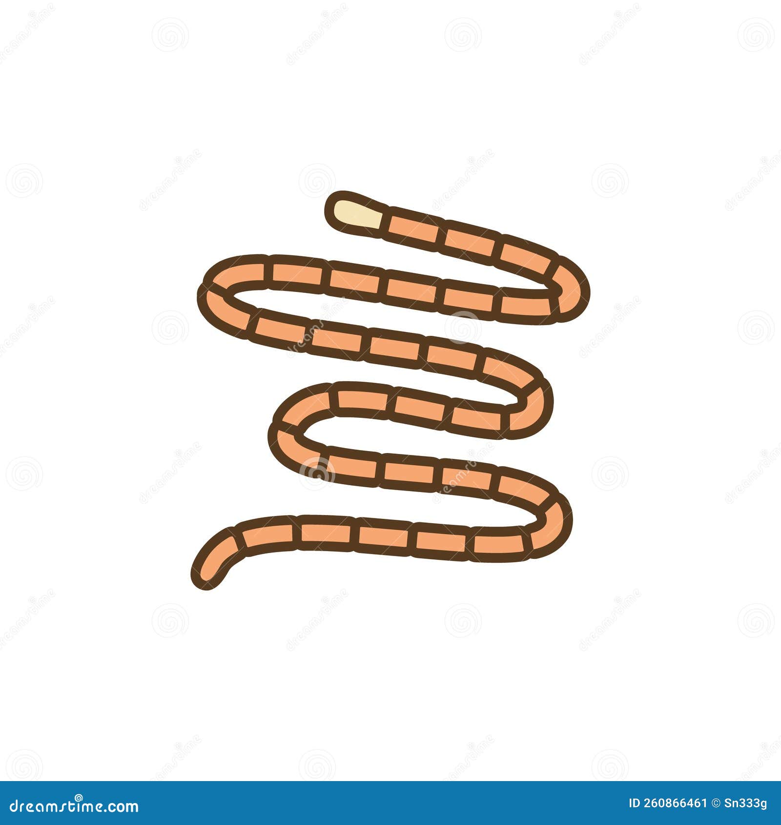 Tapeworm Cestoda Vector Concept Colored Icon or Symbol Stock Vector ...
