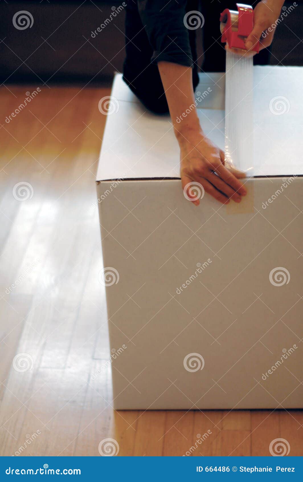 Taping a box up stock photo. Image of hardwood, seal, storage - 664486