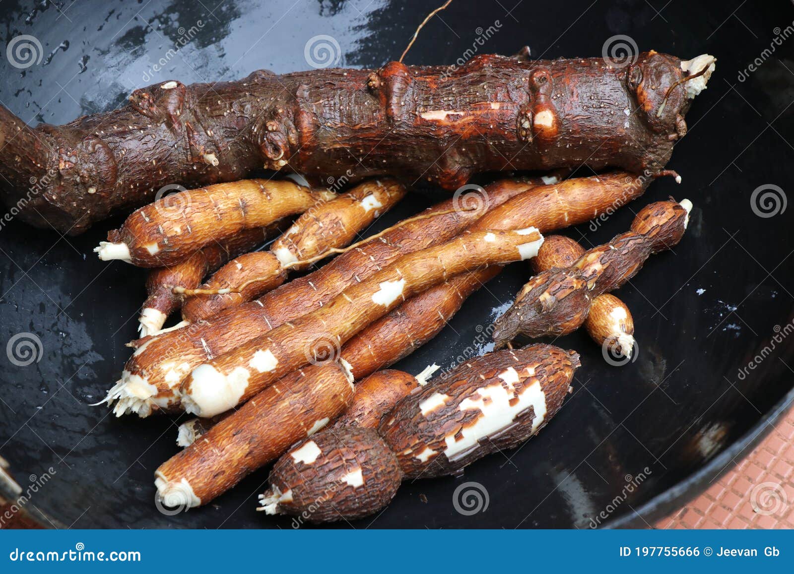 Tapioca Also Called by Names Cassava Which is a Food Kept in Basket ...