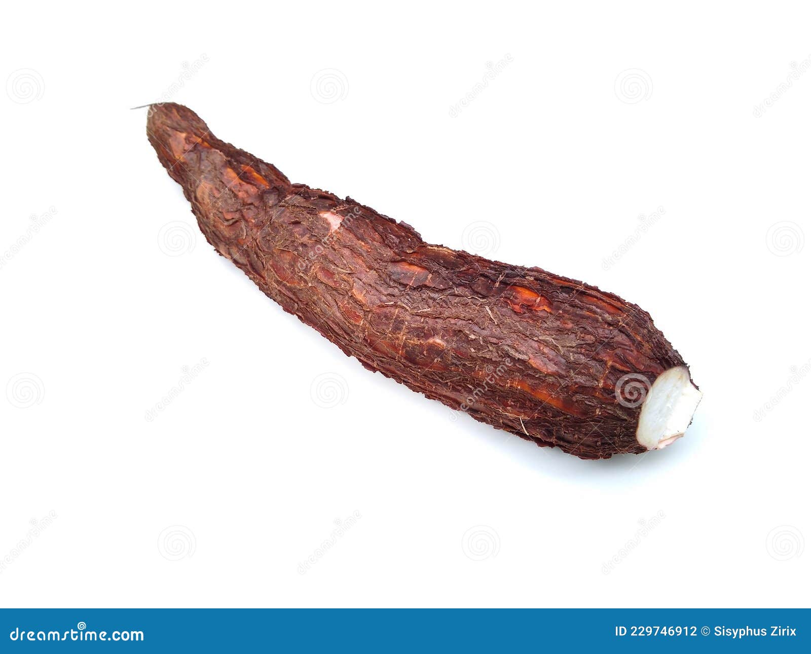 Tapioca (cassava Tuber) Isolated on White Background Stock Photo ...