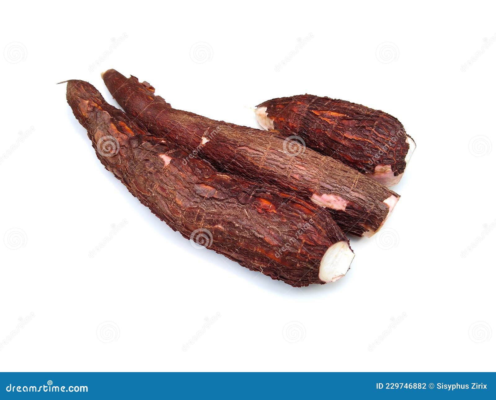 Tapioca (cassava Tuber) Isolated on White Background Stock Photo ...