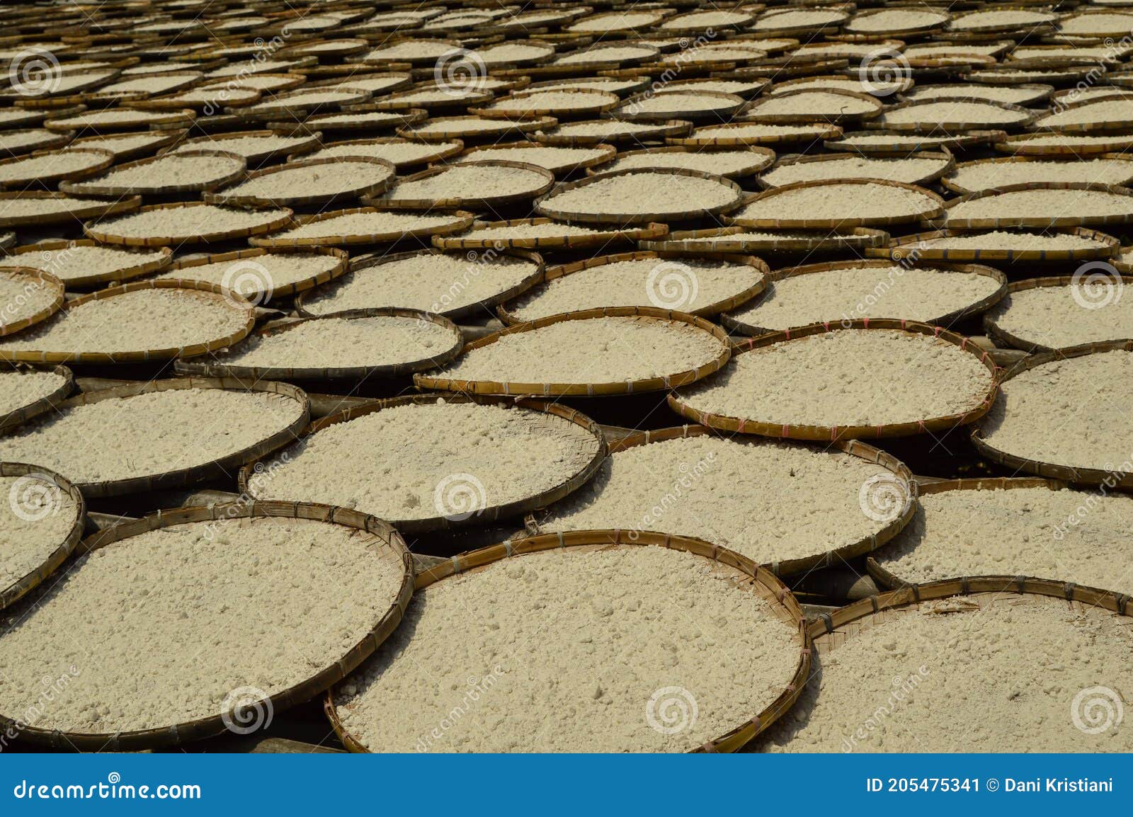 Tapioca Flour Which is Being Dried Under the Sun Stock Image - Image of root, drying: 205475341