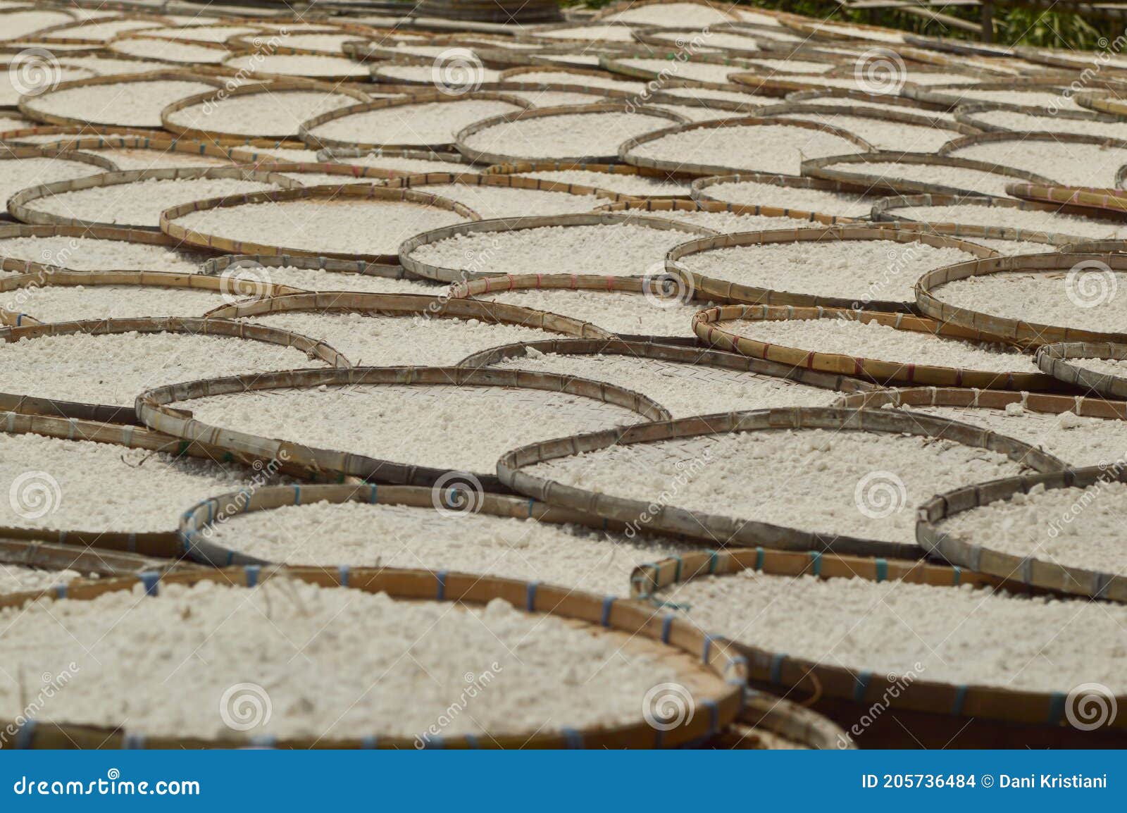 Tapioca Flour Which is Being Dried Under the Sun Stock Photo - Image of bakery, bread: 205736484