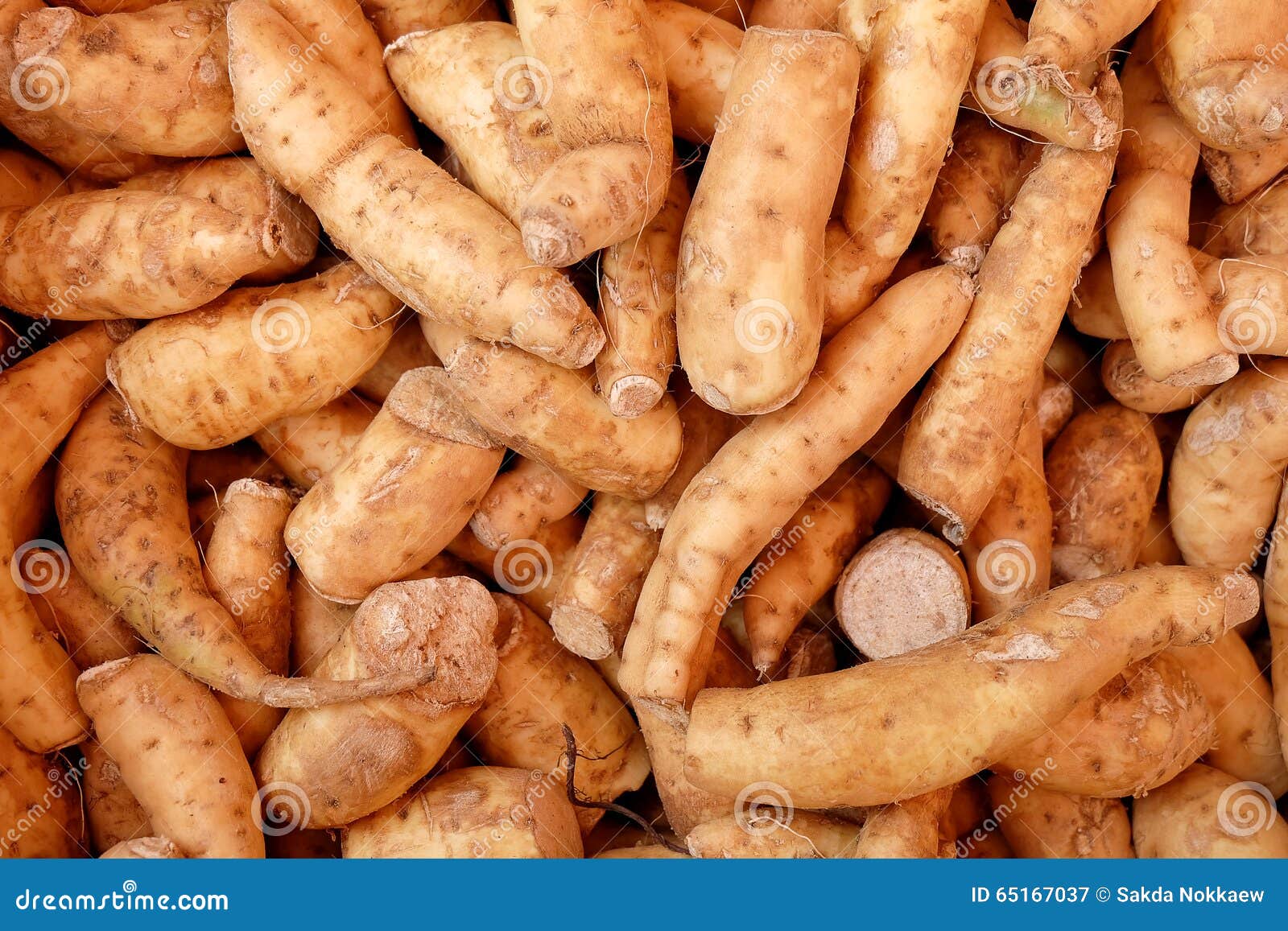 Tapioca stock image. Image of tapioca, fresh, maui, tropic - 65167037