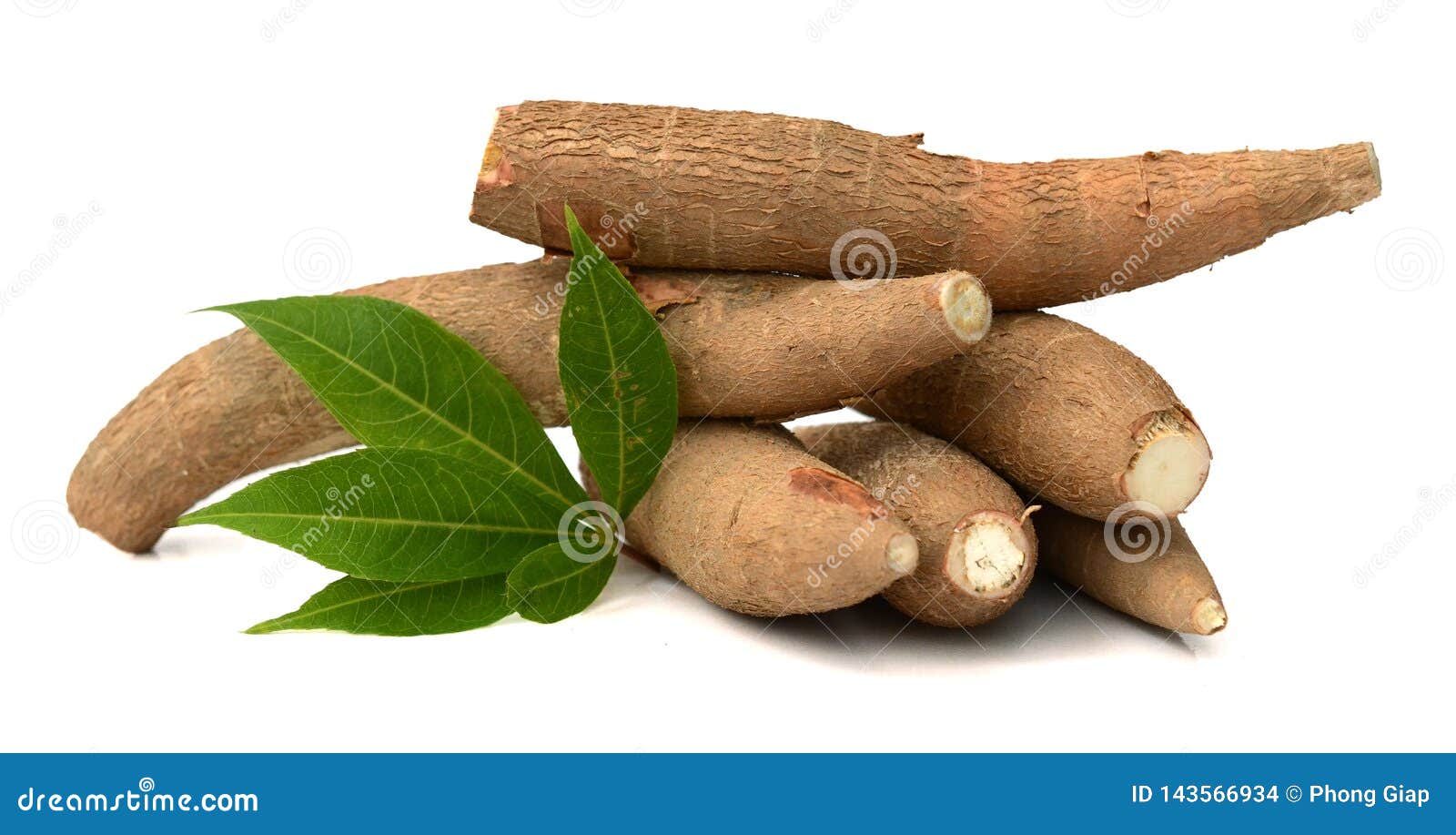 Tapioca Root on White Background Isolated. Stock Photo - Image of ...