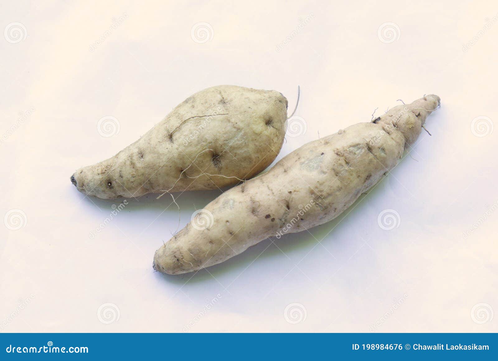 Tapioca verde foto de archivo. Imagen de tubérculo, dieta - 198984676