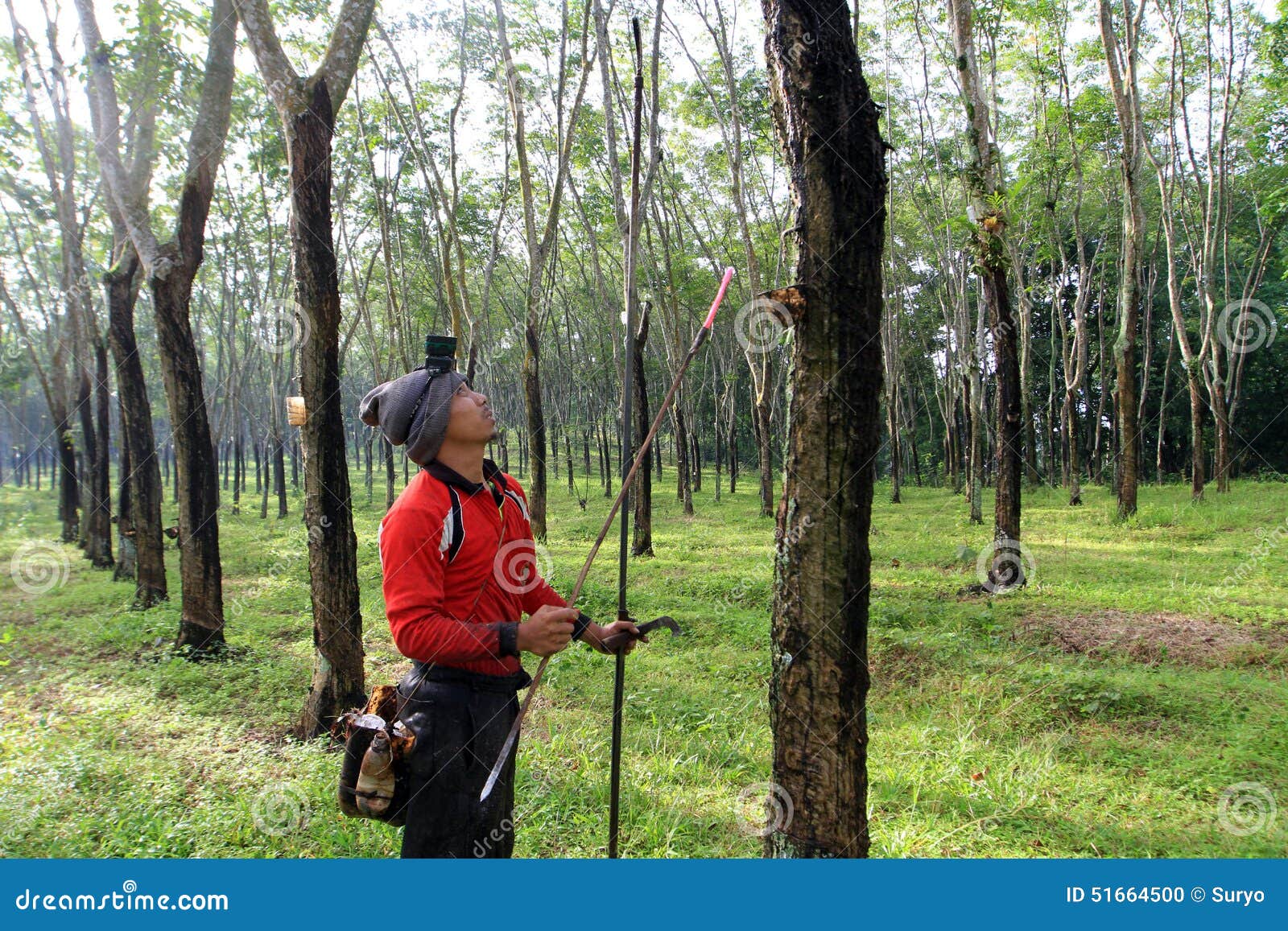 Rubber Workers Transport Rubbers Editorial Photo | CartoonDealer.com ...