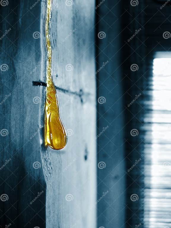 Tar drop stock photo. Image of drop, pitch, resin, wood - 7622758
