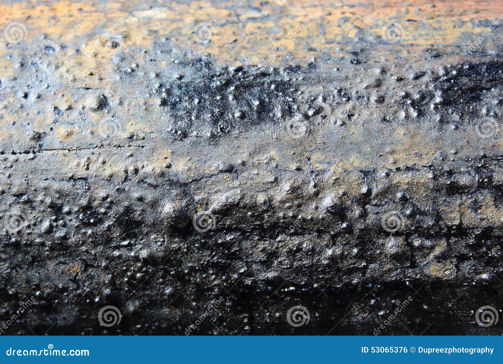 202 Tar Pole Stock Photos - Free & Royalty-Free Stock Photos from ...