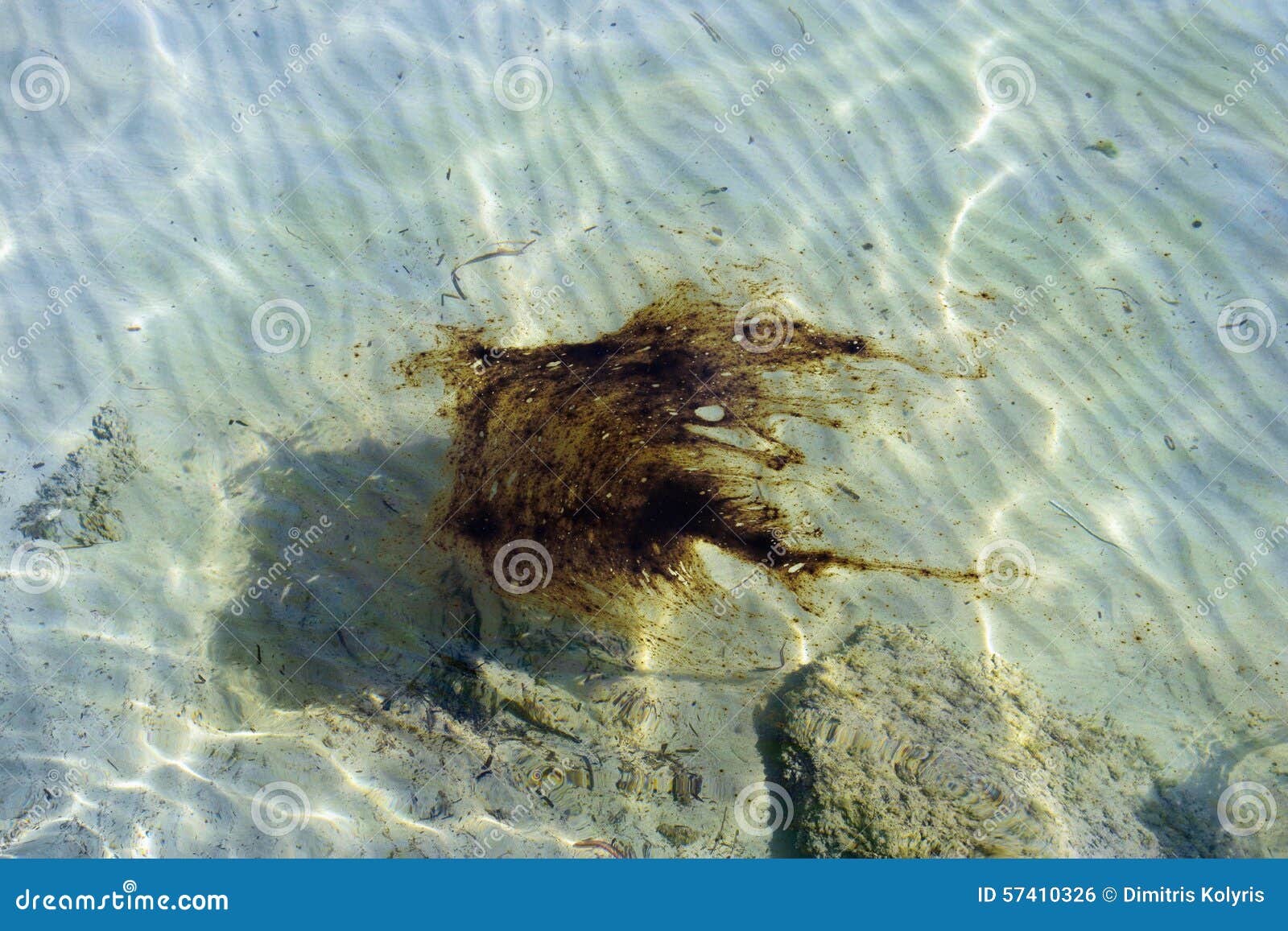 Tar sea water stock photo. Image of water, issues, natural - 57410326