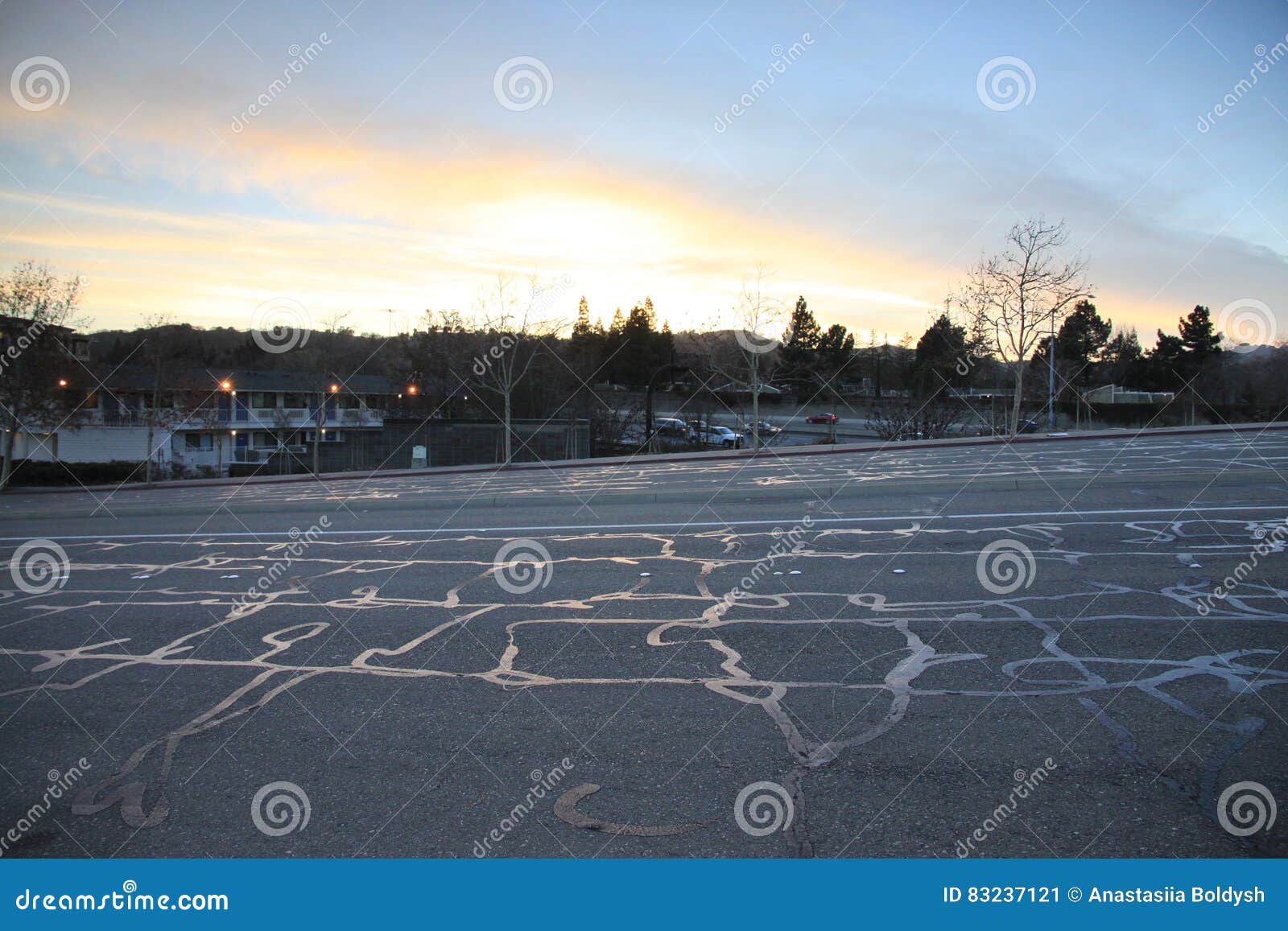 Tar snakes under sunset stock image. Image of dusk, sunset - 83237121