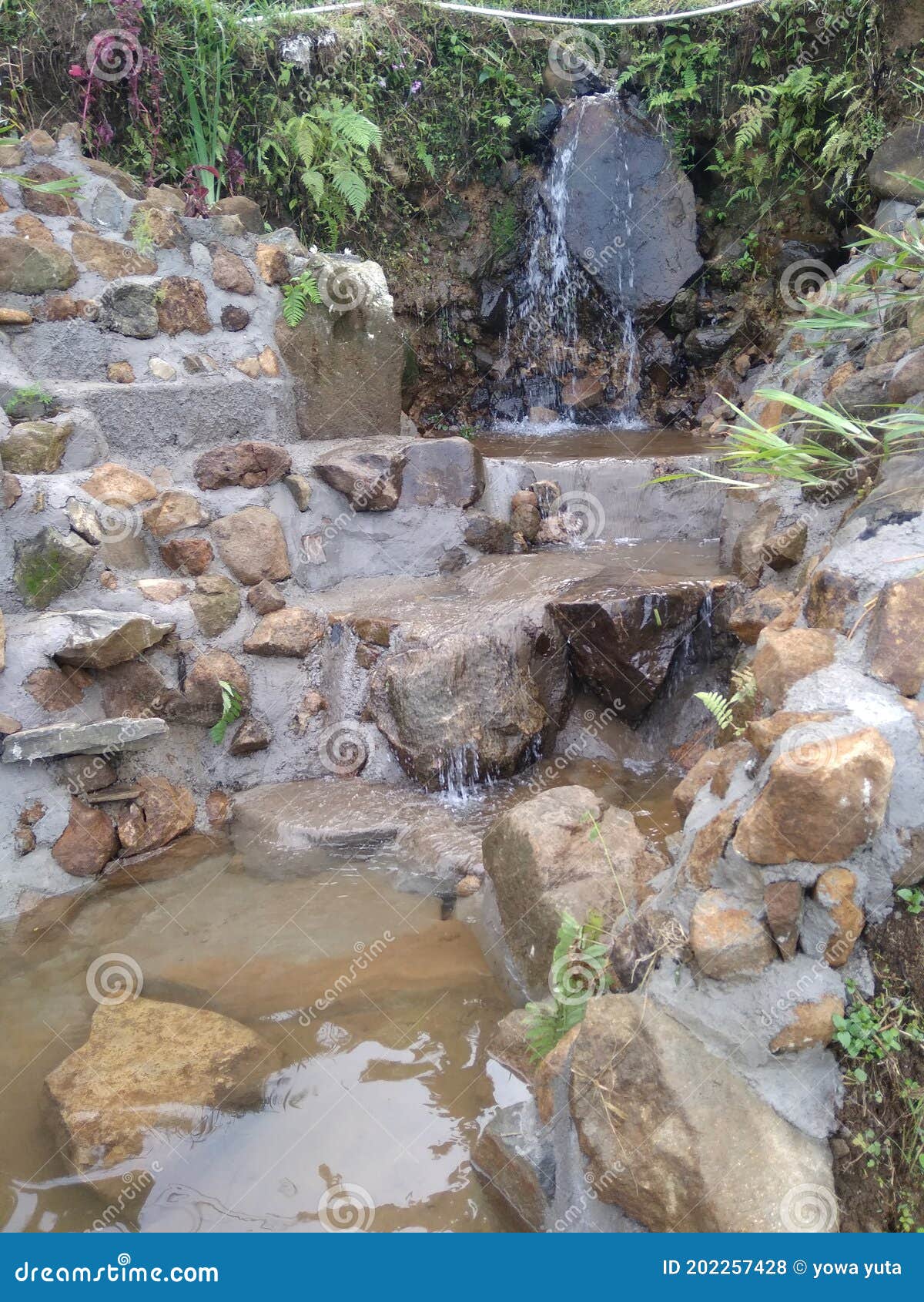 Tar Water from the Garden and Cool Weather Stock Photo - Image of cool ...