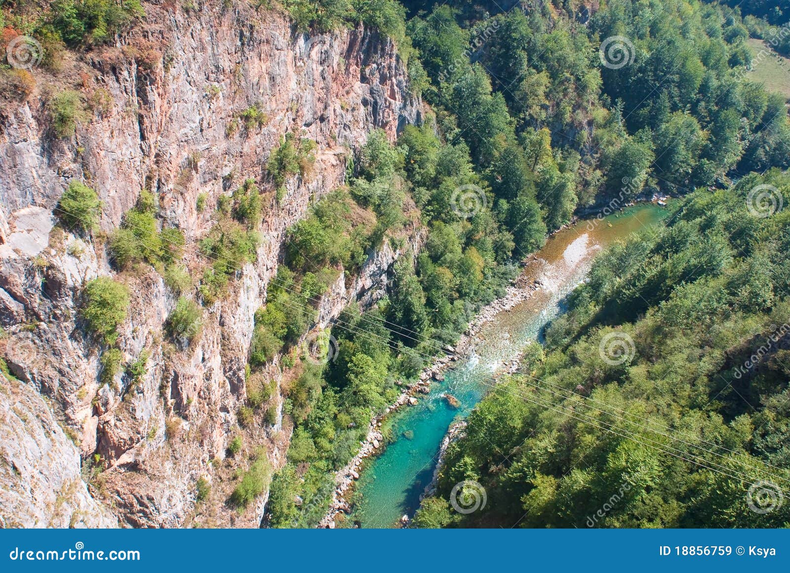 Tara river stock image. Image of beautiful, summer, grass - 18856759