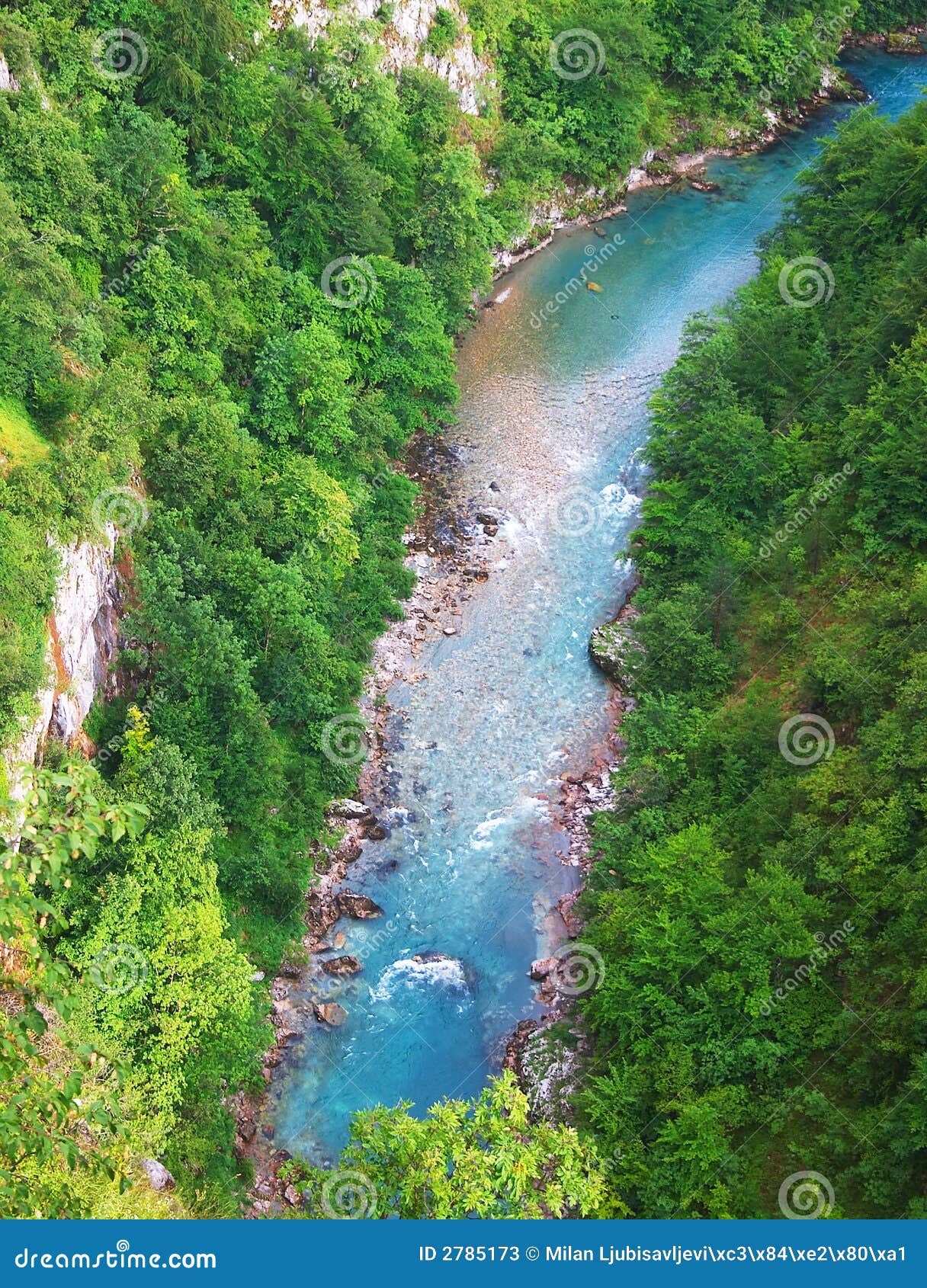 Tara River stock image. Image of nature, tree, fresh, montenegro - 2785173