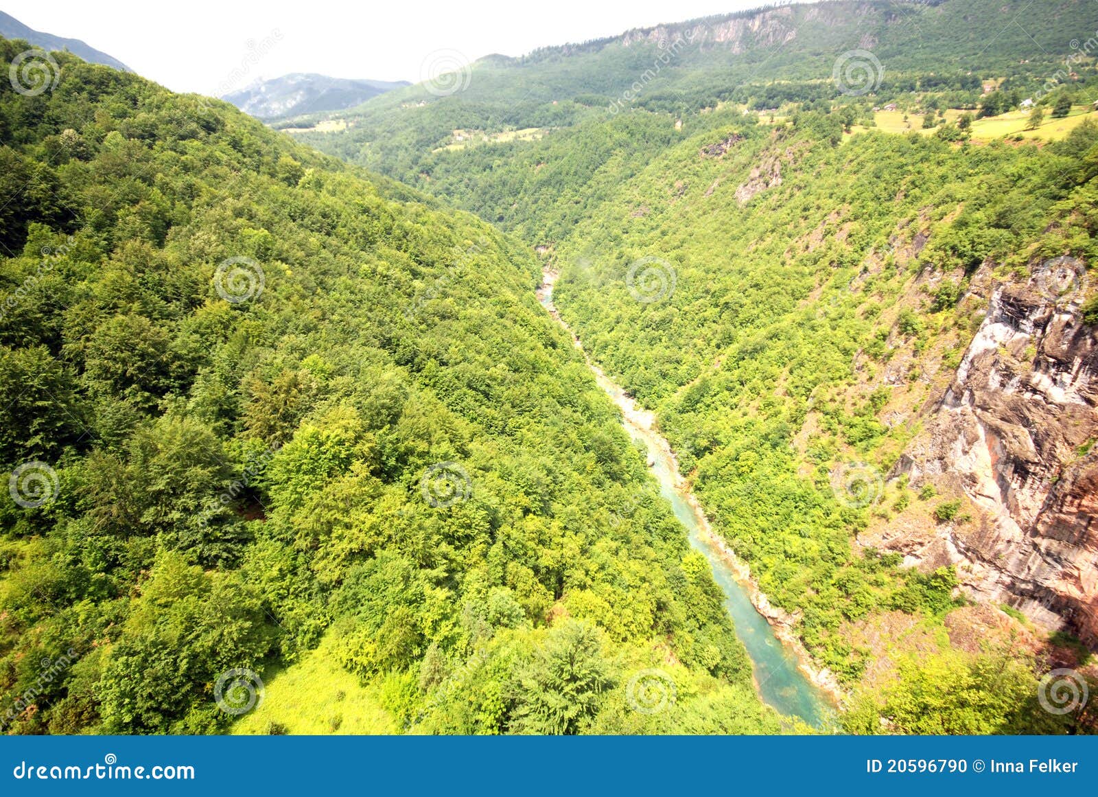 Tara River Canyon ( Montenegro) Stock Photo - Image of blue, bush: 20596790