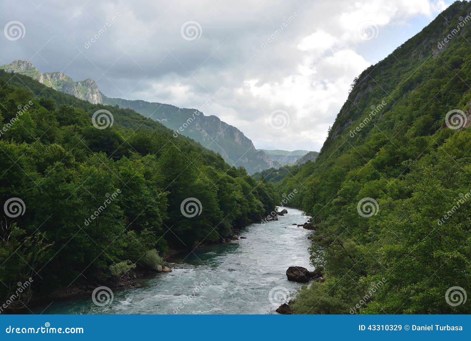 Tara river stock image. Image of forest, nature, canyon - 43310329