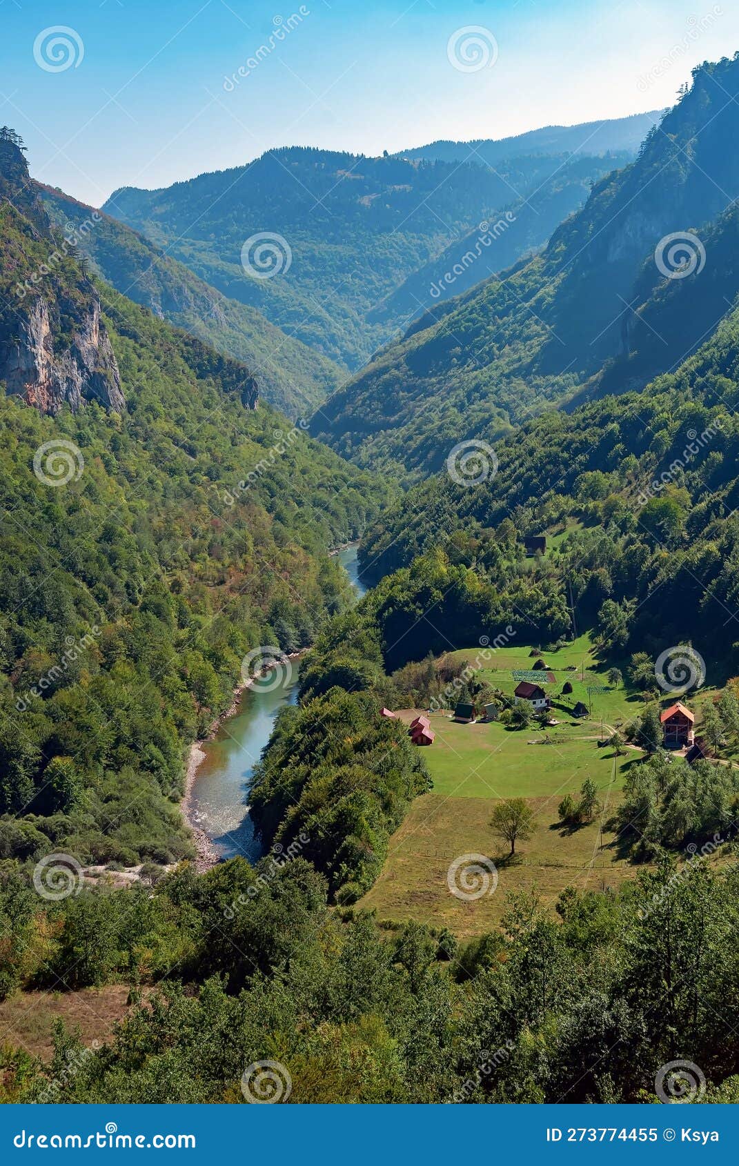 Tara River Canyon in Montenegro Stock Image - Image of balkan, hiking ...