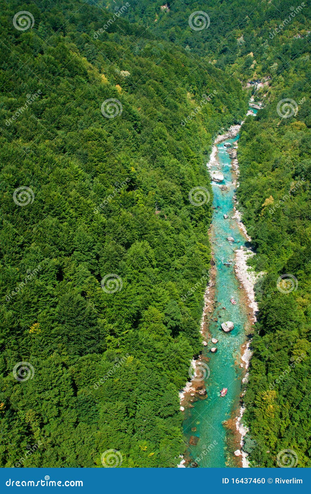 Tara River, Montenegro stock photo. Image of clear, enjoyment - 16437460