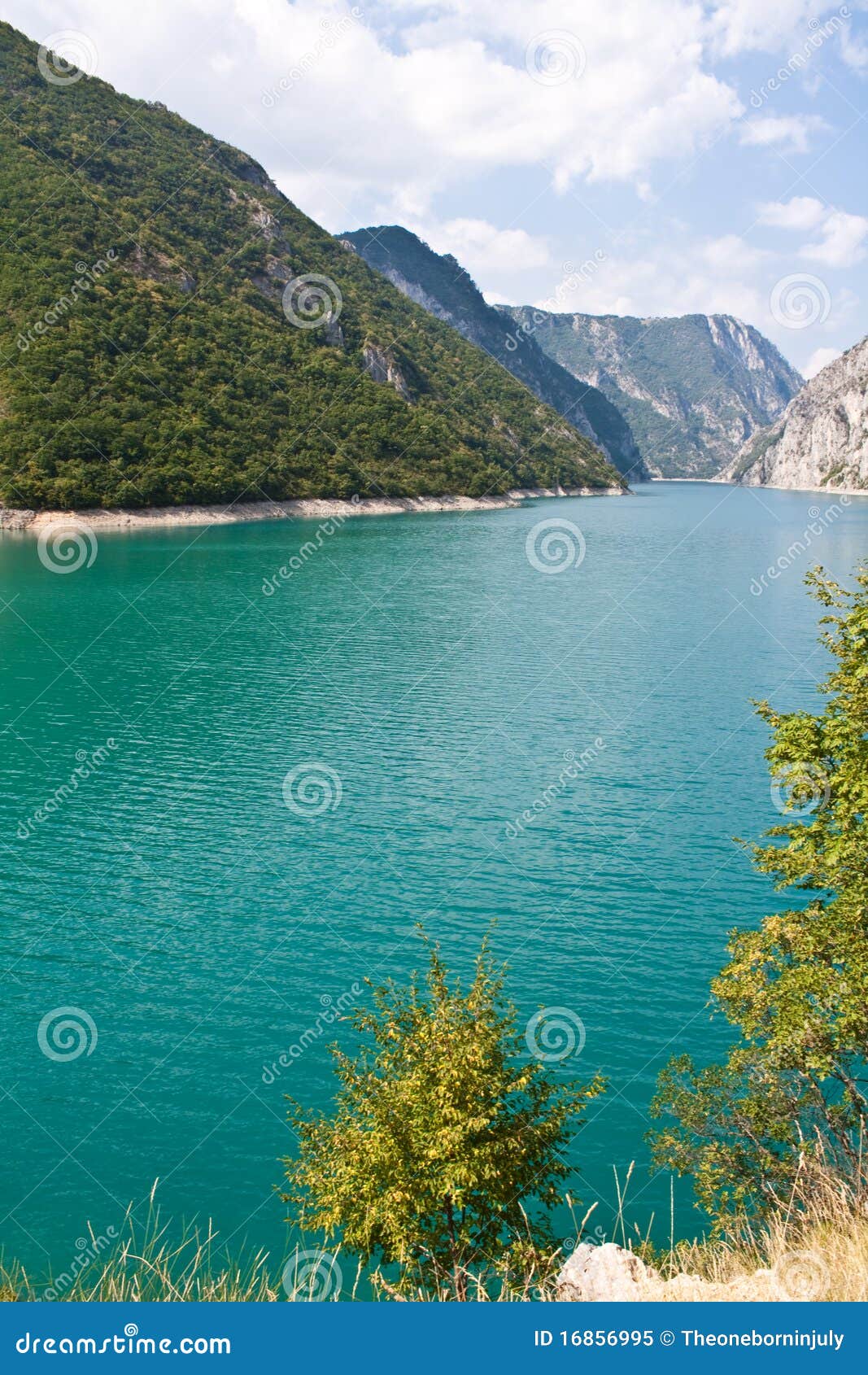 Tara River, Montenegro, Crna Gora Stock Image - Image of blue, trees ...