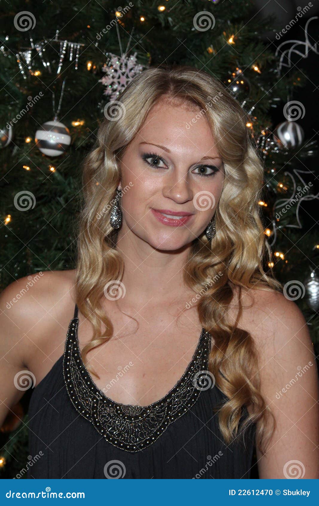 Tara Voight editorial image. Image of holiday, hotel - 22612470