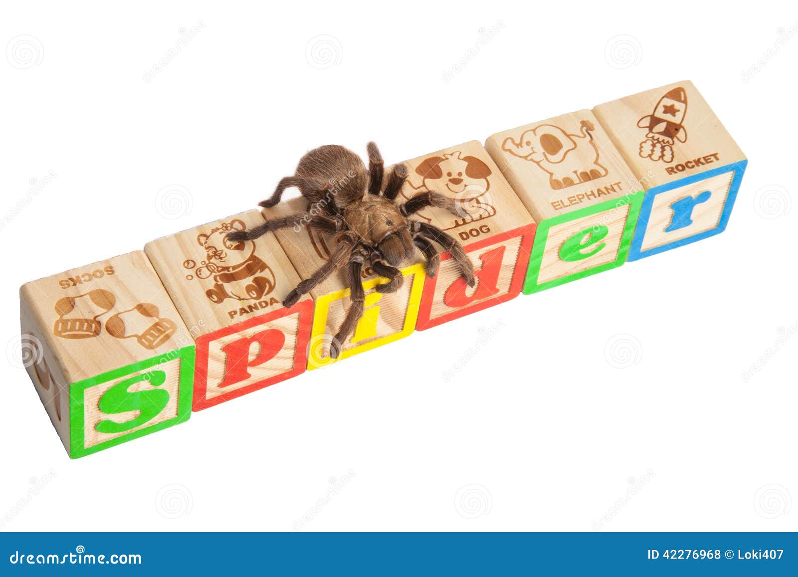 Tarantula on Blocks Spelling Spider. Stock Photo - Image of tarantula ...