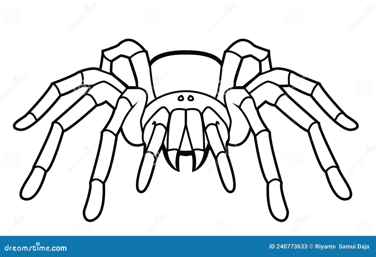 Tarantula Front View Black and White Illustration Design Stock Vector ...