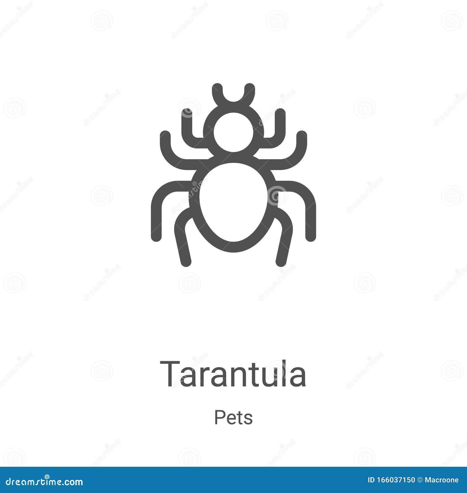 Tarantula Icon Vector from Pets Collection. Thin Line Tarantula Outline ...