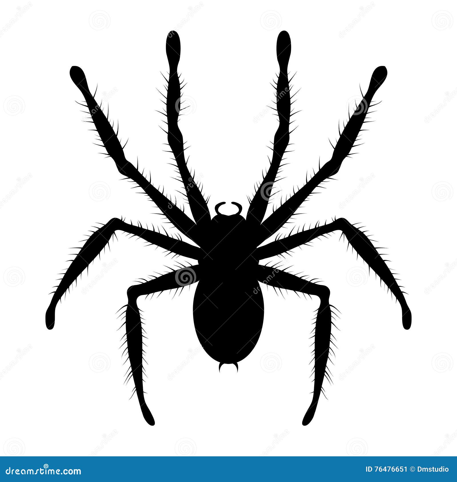 Tarantula spider, vector stock vector. Illustration of dangerous - 76476651