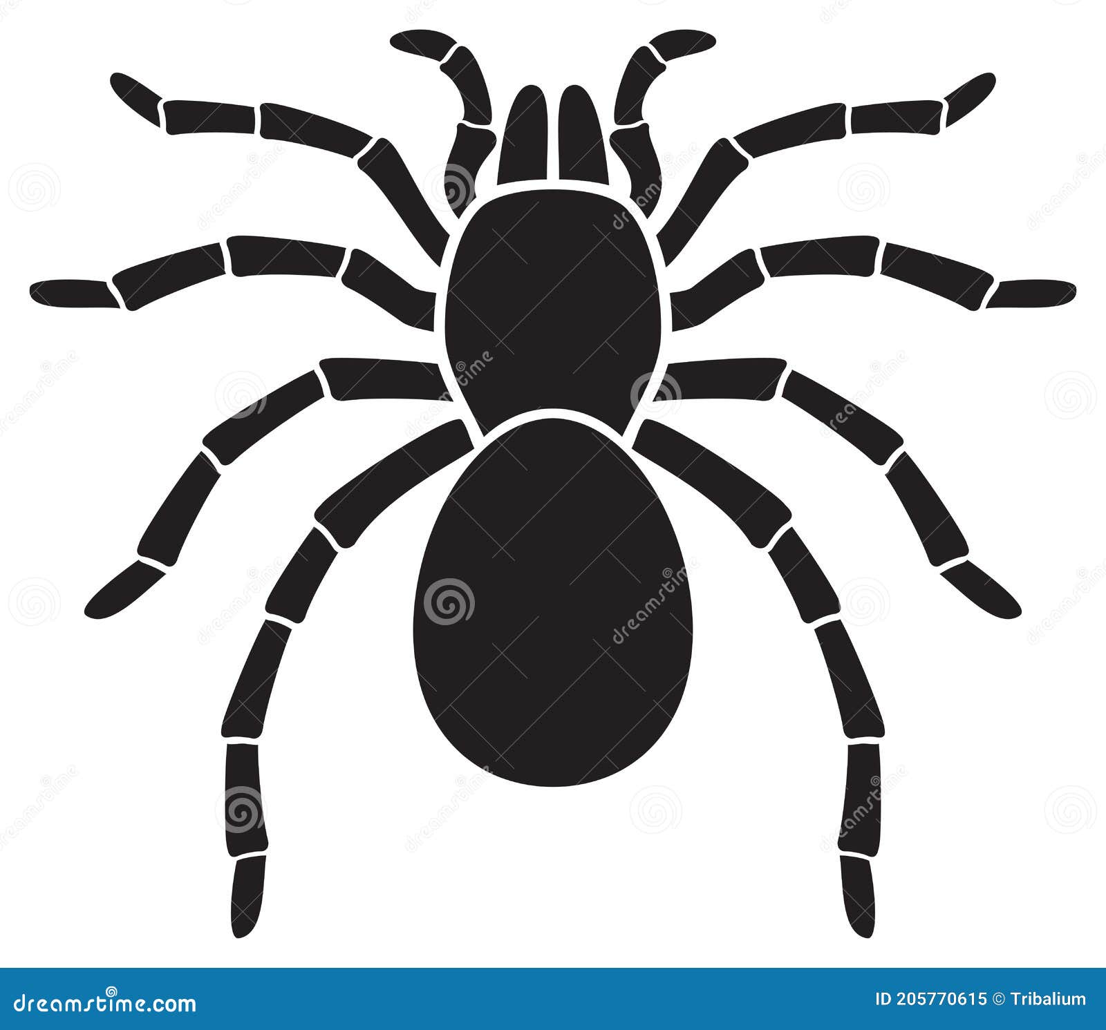 Tarantula Spider insect stock vector. Illustration of nature - 205770615