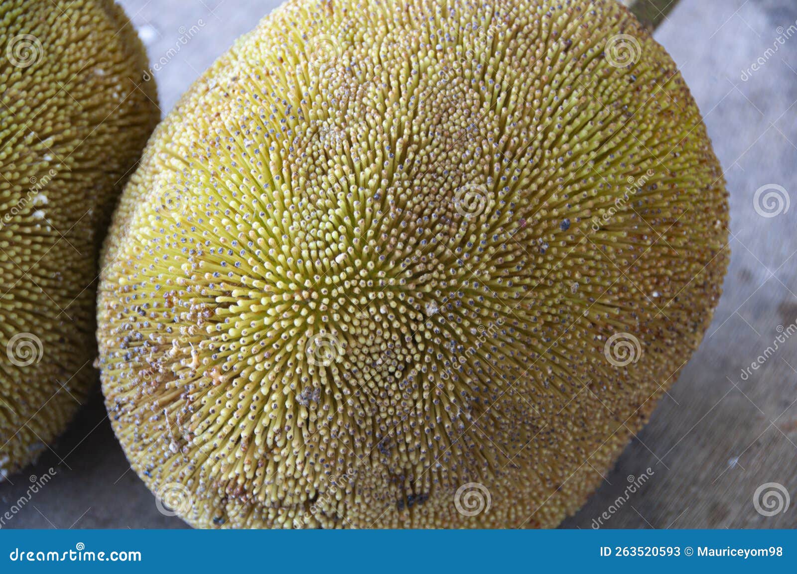 Tarap Fruit of Borneo Malaysia. Asian Fruit Concept Stock Image - Image ...
