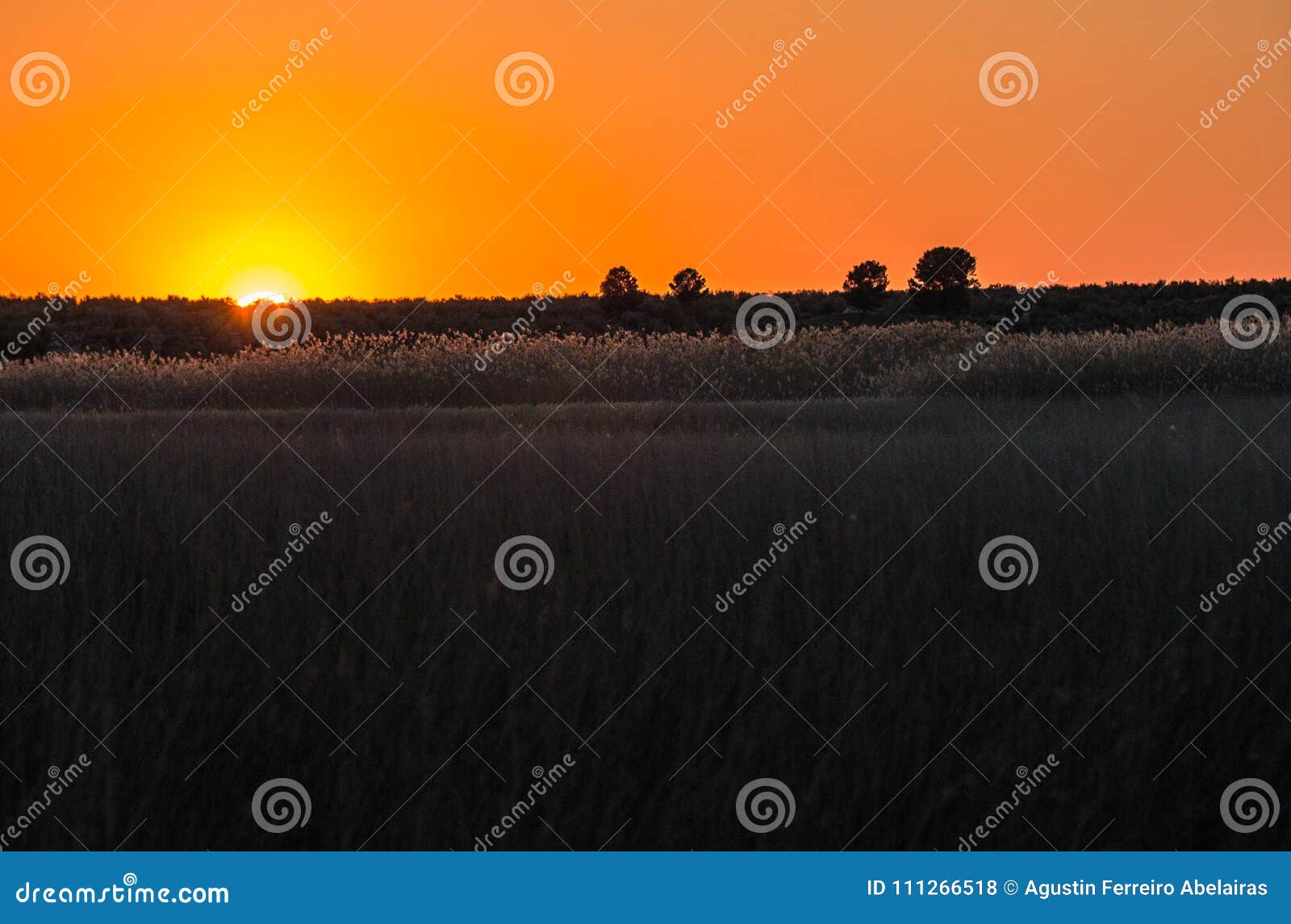 The Taray de Queros lagoon stock photo. Image of covered - 111266518