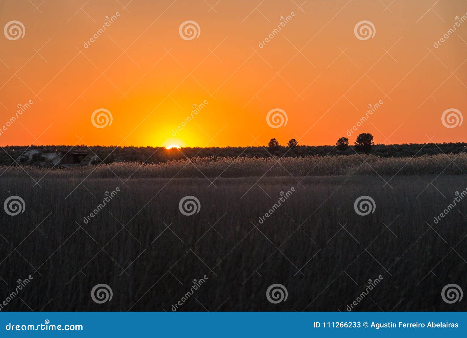 The Taray de Queros lagoon stock image. Image of rivers - 111266233