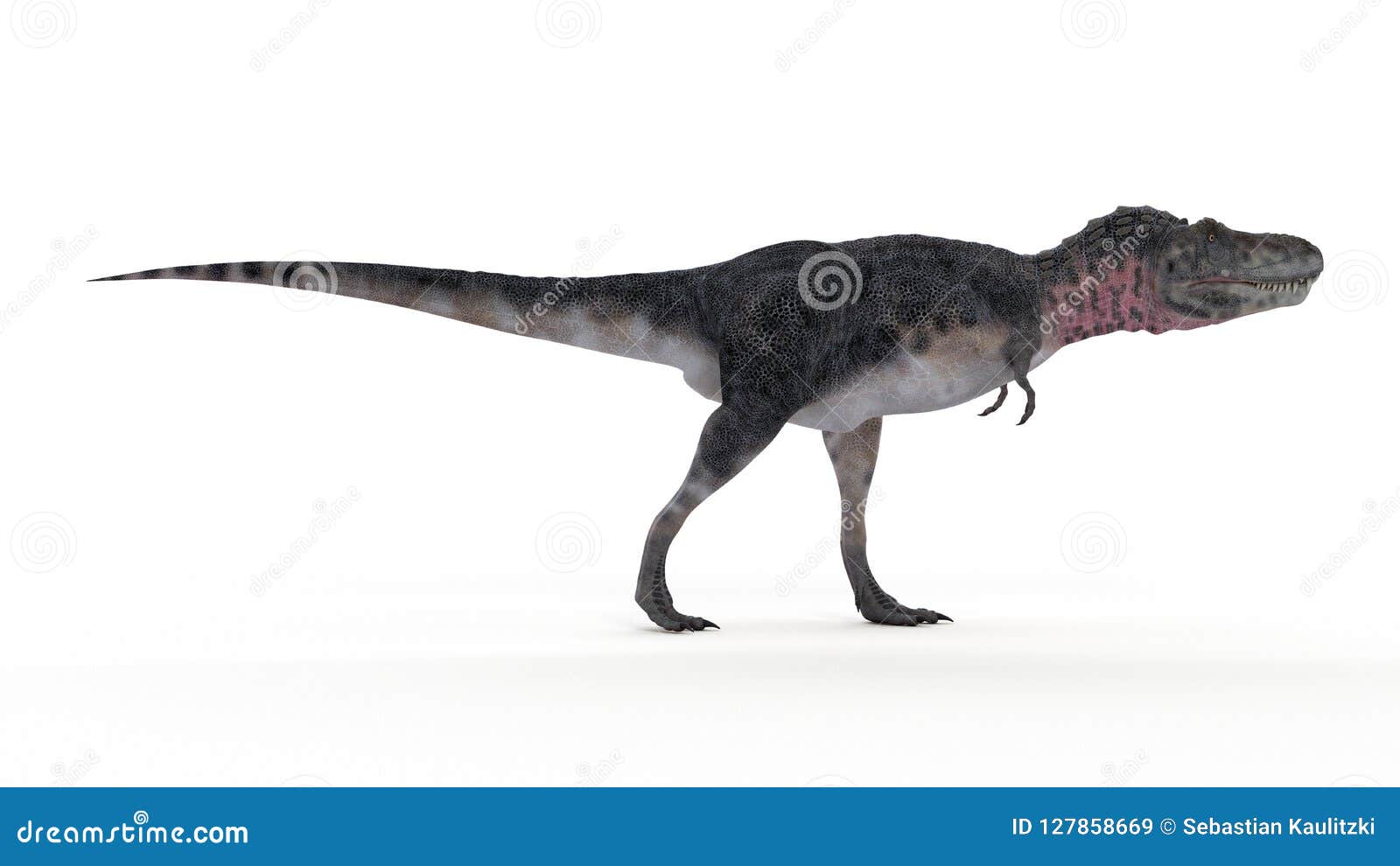 Tarbosaurus иллюстрация штока иллюстрации насчитывающей перевод