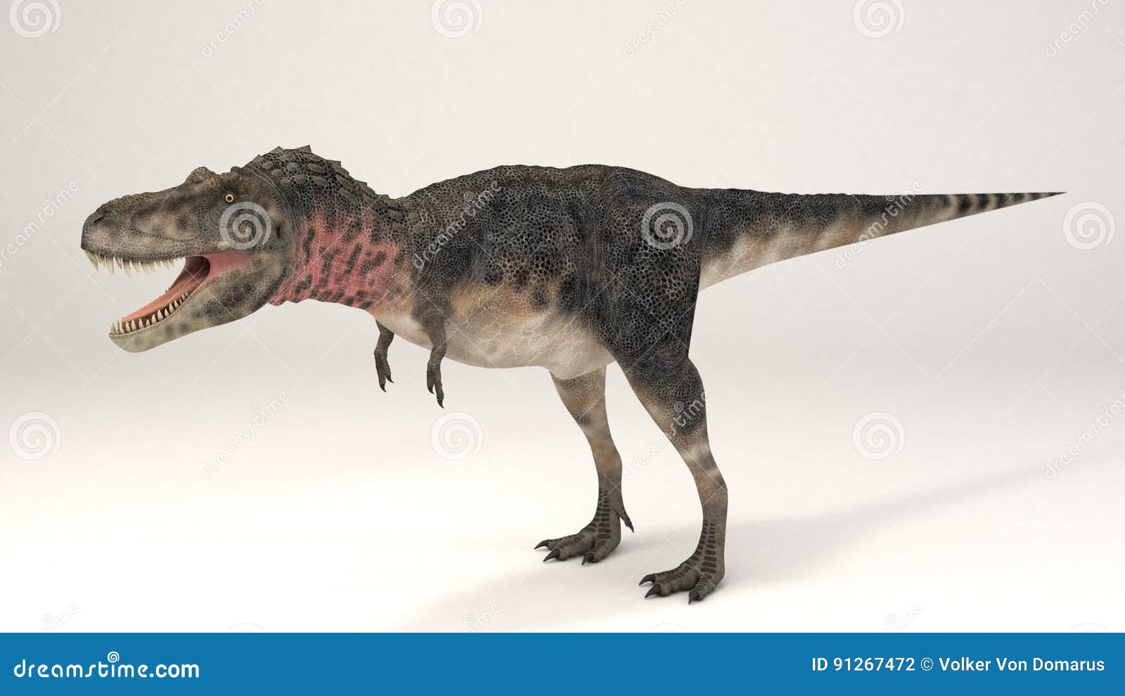 Tarbosaurus-Dinosaur stock illustration. Illustration of evolution ...