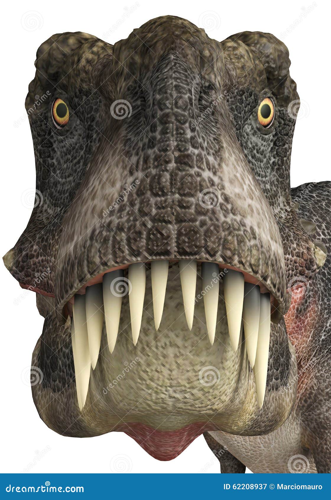Tarbosaurus face stock illustration. Illustration of fossils - 62208937
